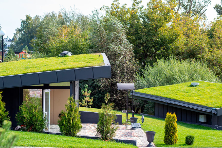 Principios del Diseño Bioclimático: descubre sus claves fundamentales ...